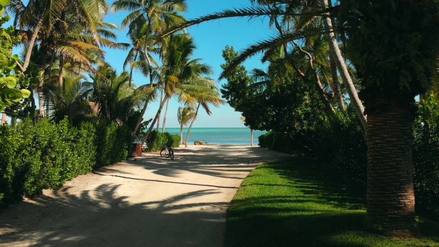 Beach and trees at Key Largo, Florida image - Free stock photo - Public ...