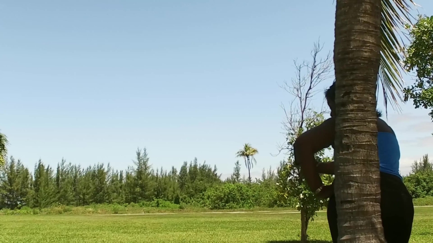 OLD-BAHAMA-BAY Footage, Videos and Clips in HD and 4K - Avopix.com