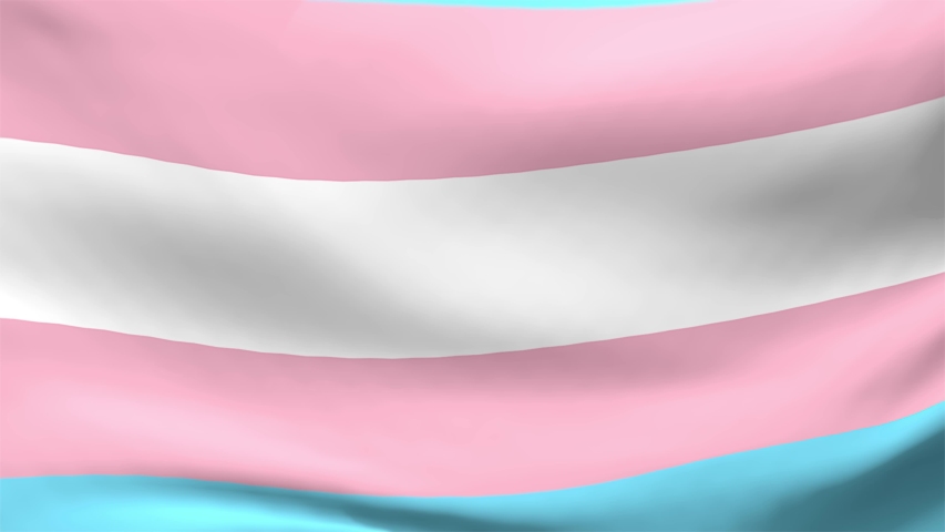 Transgender Pride Flag Waving Animation, Stock Footage Video (100% ...