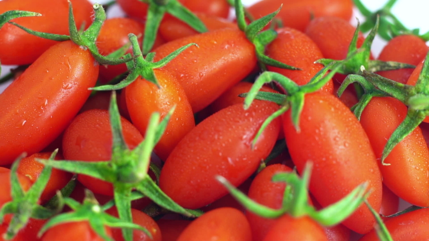 Close up of Solarino Tomatoes Stock Footage Video (100% Royalty-free ...