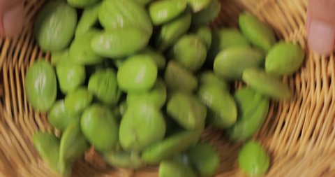 Parkia Speciosa Sato Fresh Stink Bean Stock Footage Video (100% Royalty ...