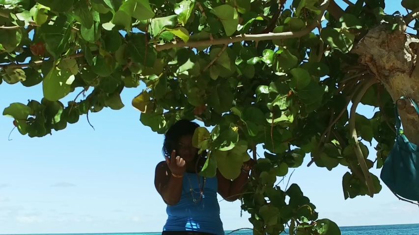 OLD-BAHAMA-BAY Footage, Videos and Clips in HD and 4K - Avopix.com