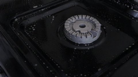 Housekeeping spider Stock Video Footage - 4K and HD Video Clips ...