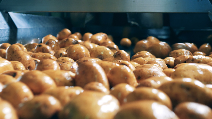 Process of Potato Cleaning at Stock Footage Video (100% Royalty-free ...