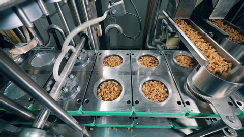 process filling containers wheat crackers food Stock Footage Video (100 ...