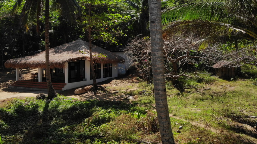 Hut surrounded by Tropical Palm Trees in the Philippines image - Free ...