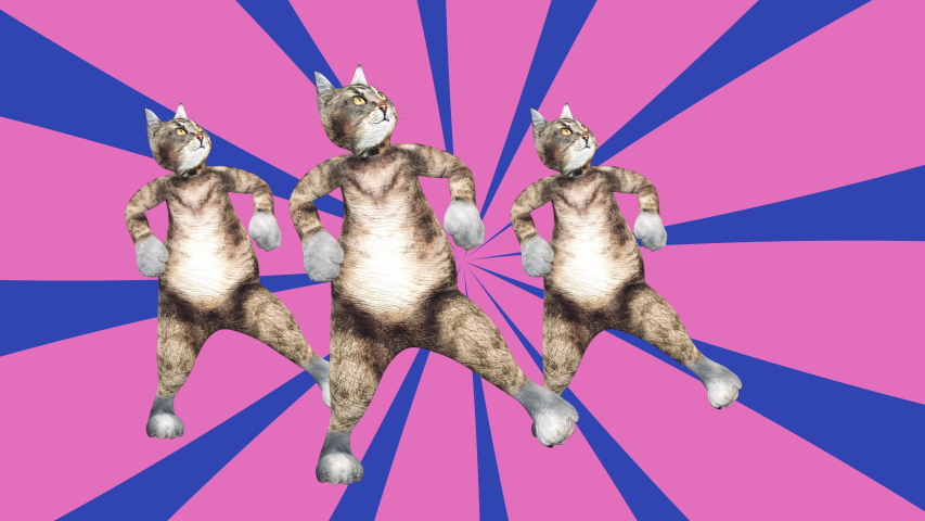 Girl Pussy Stock Video Footage 4k And Hd Video Clips Shutterstock