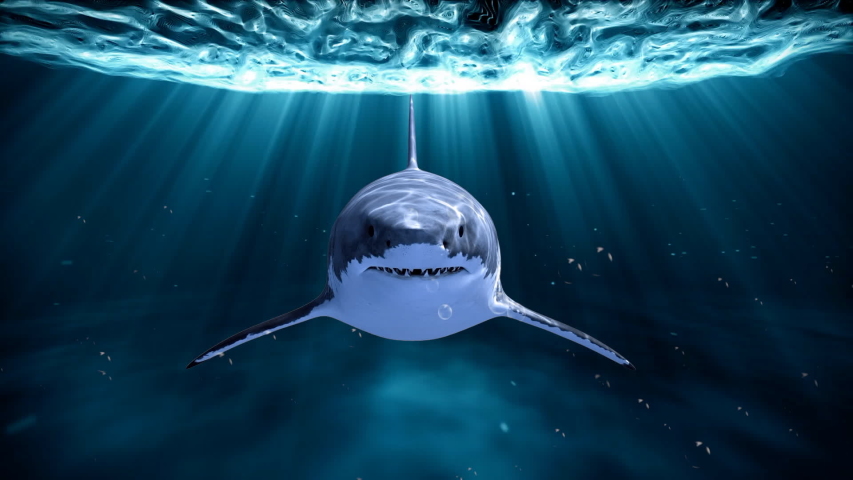 Shark Razor Teeth Stock Video Footage - 4K and HD Video Clips ...