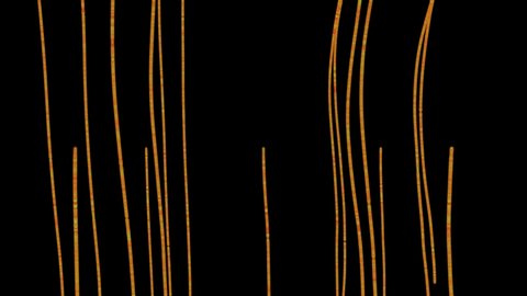 Vertical Lines Random Pattern Vector Design Stock Vector (Royalty Free ...