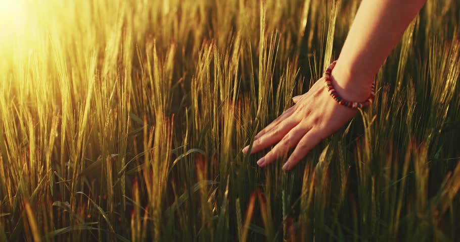 Close-up of Womans Hand Running Stock Footage Video (100% Royalty-free ...