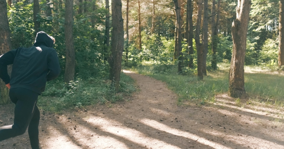 Nature path through the woods image - Free stock photo - Public Domain ...