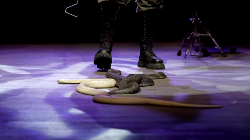 Snake Charmer in Circus. Action. Stock Footage Video (100% Royalty-free ...