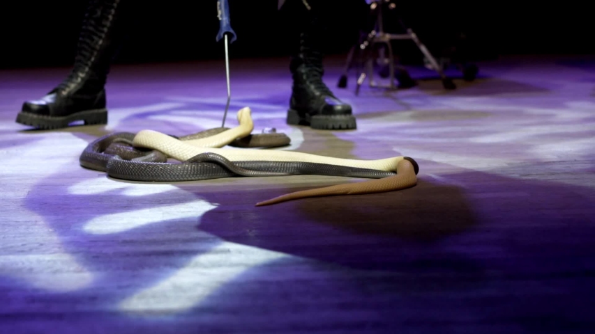 Snake Charmer in Circus. Action. Stock Footage Video (100% Royalty-free ...