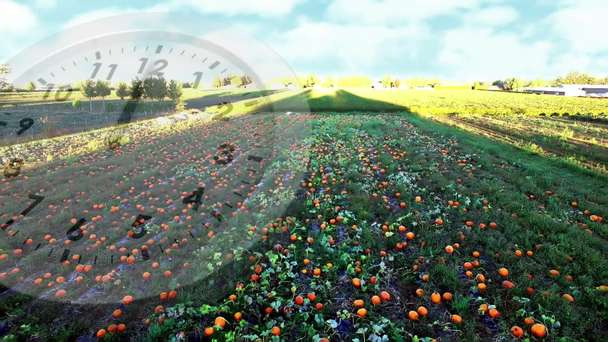 2 Farming timeline Stock Video Footage - 4K and HD Video Clips ...