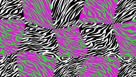 Colorful Abstract Zebra Seamless Pattern Neon Stock Vector (Royalty ...