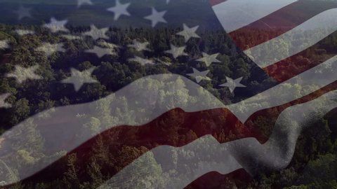 Digital Animation American Flag Waving Background Stock Footage Video ...