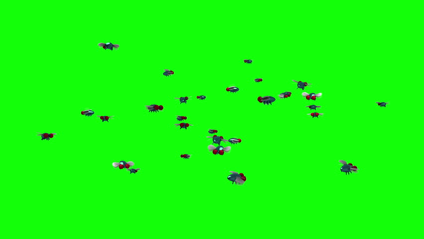 Swarm of Flies. 3d Animation Stockvideoklipp (helt royaltyfria ...