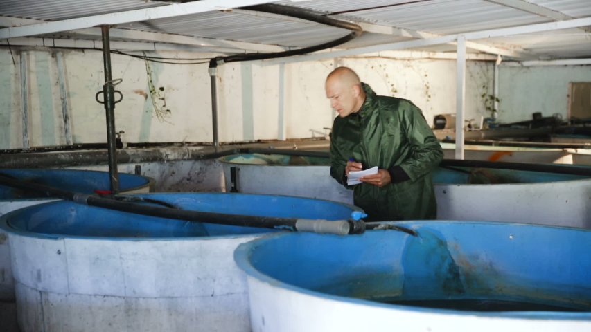 Portrait of Man Fish Farm Stock Footage Video (100% Royalty-free ...