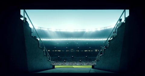 4k Footage Professional Soccer Stadium Stadium Stock Footage Video (100 ...
