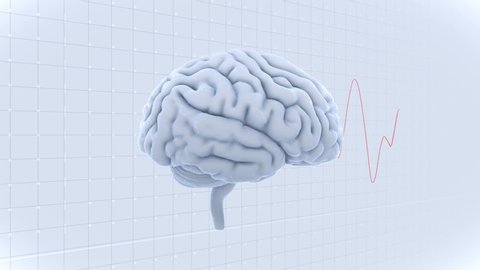 Vector Illustration Picture Brain On Sheet Stock Vector (Royalty Free ...