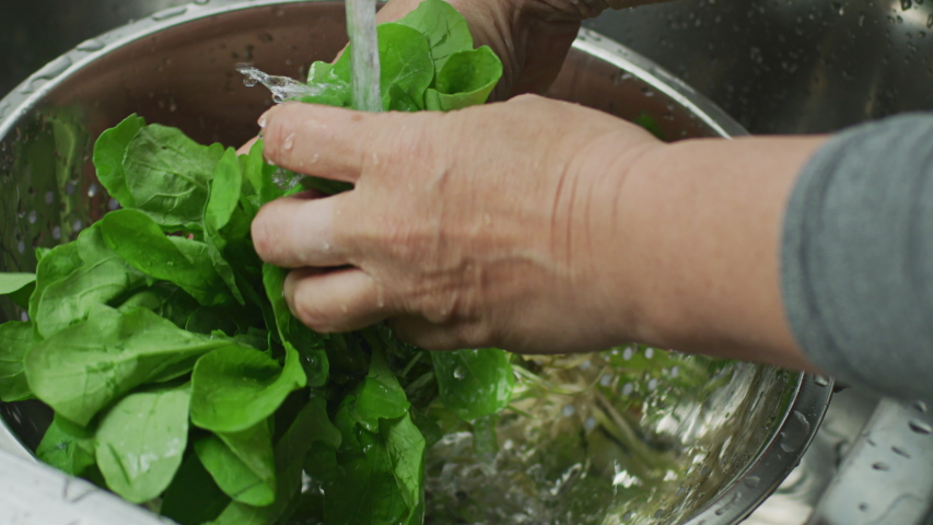 Rocca leaves Stock Video Footage - 4K and HD Video Clips | Shutterstock