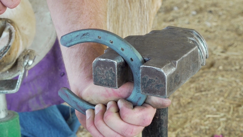 Farrier is Using Hammer and Stock Footage Video (100% Royalty-free ...