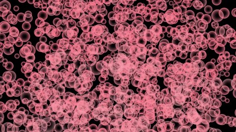 Histology Human Pancreas Largely Composed Acini Stock Photo (Edit Now ...