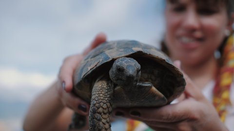 Girl Holding Arms Big Wild Turtle Stock Footage Video (100% Royalty ...