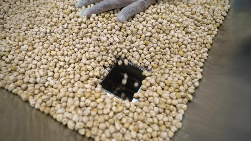 Fresh Chana Beans image - Free stock photo - Public Domain photo - CC0 ...