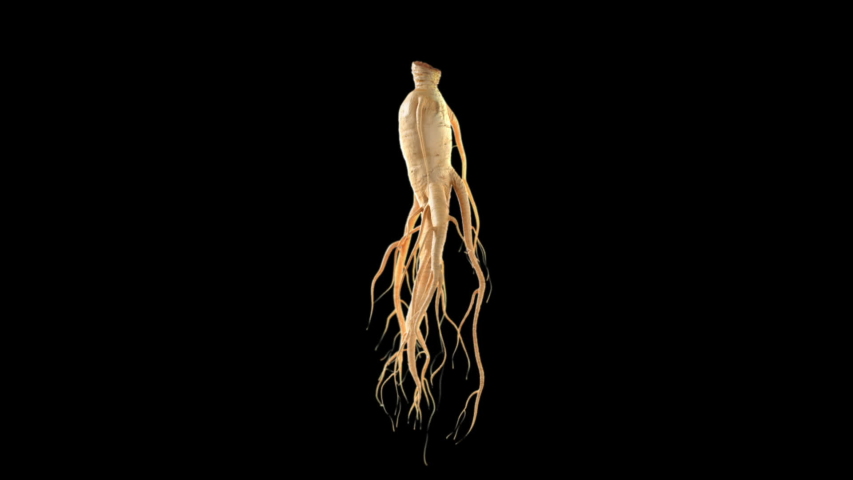 Ginseng Image Stock Video Footage - 4K and HD Video Clips | Shutterstock