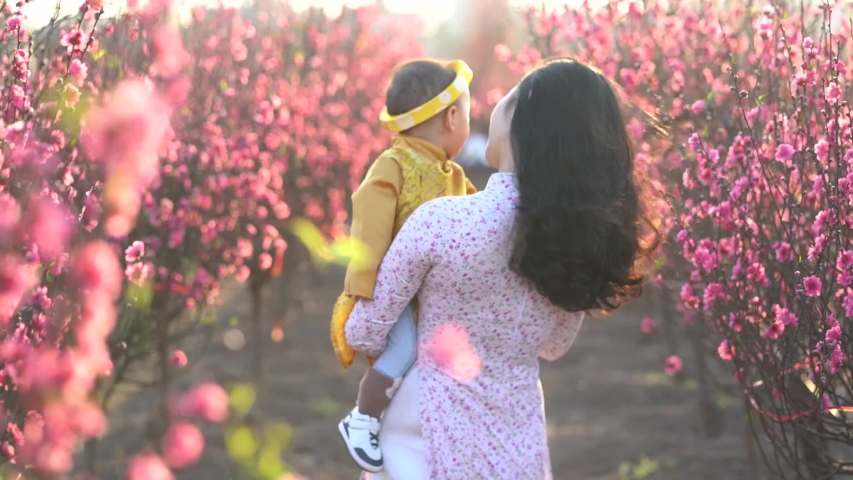 young vietnamese mother her son traditional Stock Footage Video (100% ...