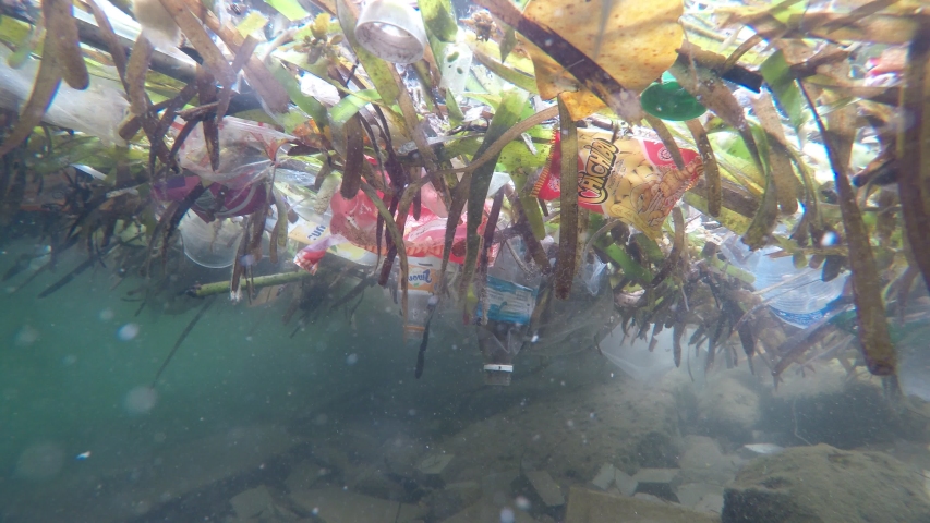 Styrofoam Pollution Stock Video Footage - 4K and HD Video Clips ...