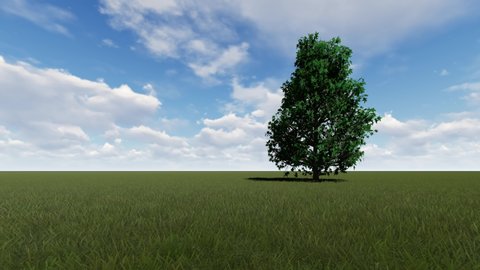 Tree Lawn On Background Clear Sky Stock Footage Video (100% Royalty ...