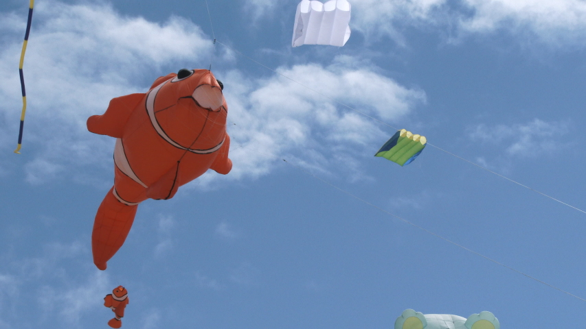 Large Kite Flying in the Air image - Free stock photo - Public Domain ...