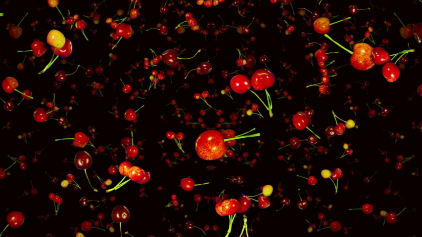 falling rotating cherries alpha matte animation Stock Footage Video ...