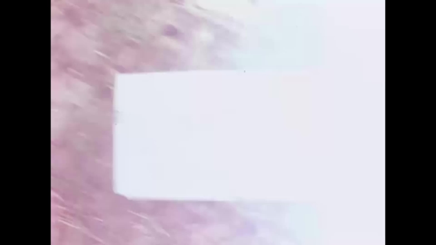 Circa 1967 - Roger Chaffees Stock Footage Video (100% Royalty-free ...