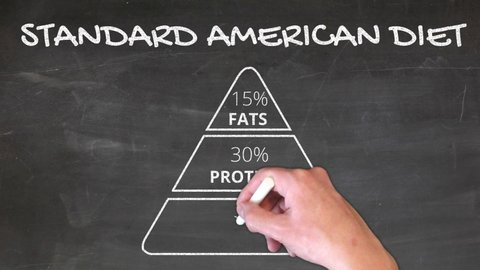 Standard American Diet Pyramid Explainer Handwritten Stock Footage ...