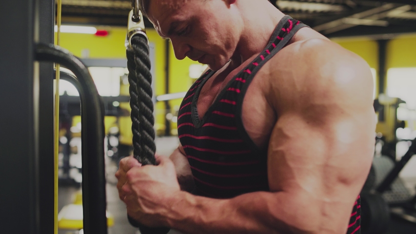Cable Triceps Stock Video Footage - 4K and HD Video Clips | Shutterstock