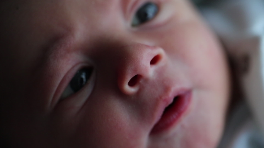 Urious Cute Baby Newborn Observing. Stock Footage Video (100% Royalty ...
