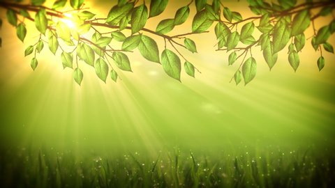 Spring Video Background Light Effects Animated Stock Footage Video (100 ...