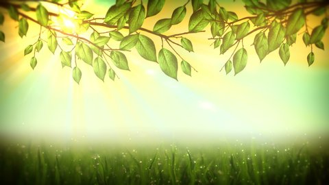 Spring Video Background Light Effects Animated Stock Footage Video (100 ...