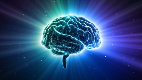 brain human body anatomy dna life Stock Footage Video (100% Royalty ...