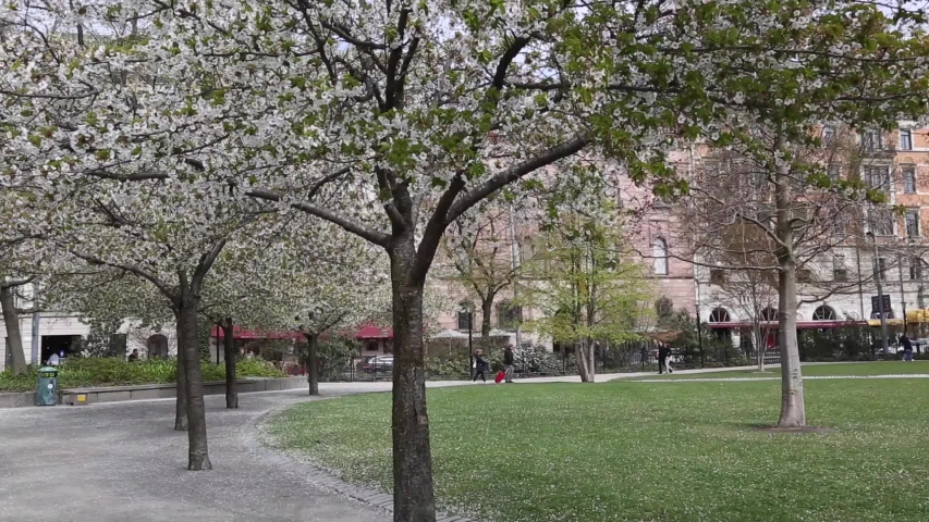 2 Berzelii park Stock Video Footage - 4K and HD Video Clips | Shutterstock