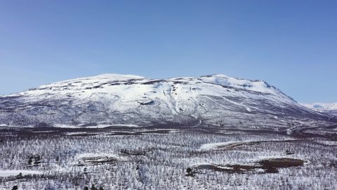 Aerial View Snowy Mountain Tree Line Stock Footage Video (100% Royalty ...