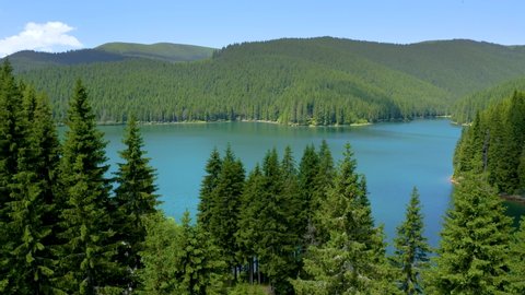 Turquoise Water Mountain Forest Lake Pine Stock Footage Video (100% ...