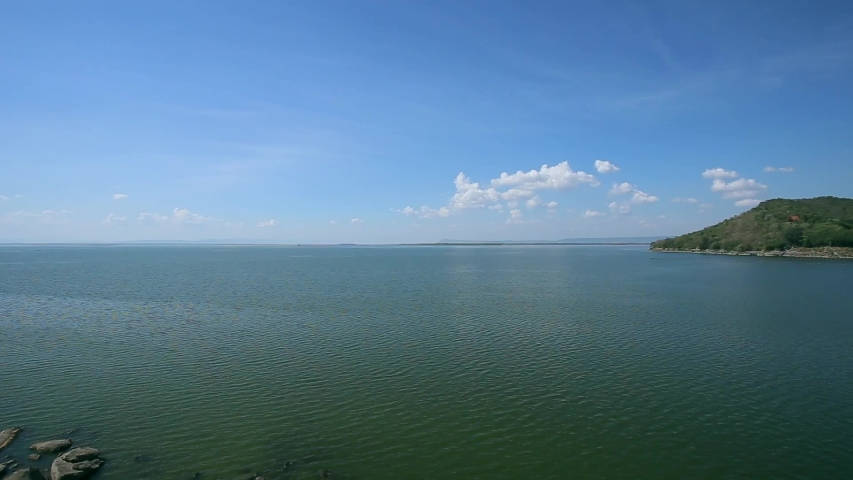 Headwaters Forest Reserve in the forest image - Free stock photo ...