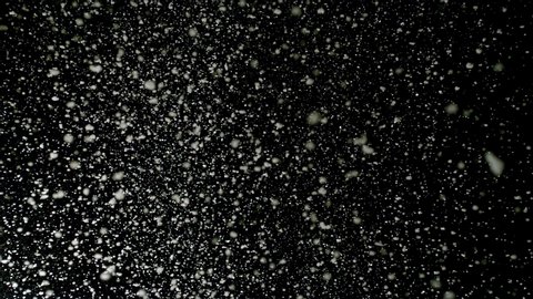 4k winter snow falling isolated on Stock Footage Video (100% Royalty ...