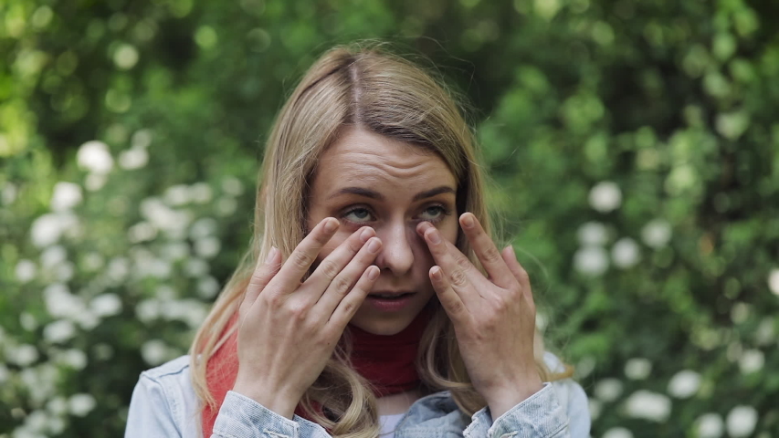 Pain Tree Stock Video Footage - 4K and HD Video Clips | Shutterstock