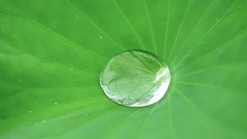 Tiny Droplets on a surface image - Free stock photo - Public Domain ...