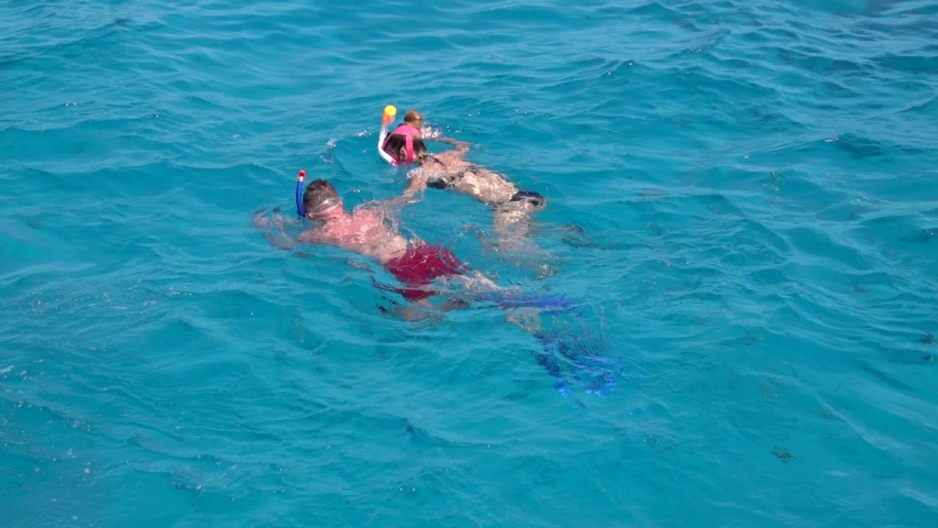snorkeling red sea people's activity Stock Footage Video (100% Royalty ...
